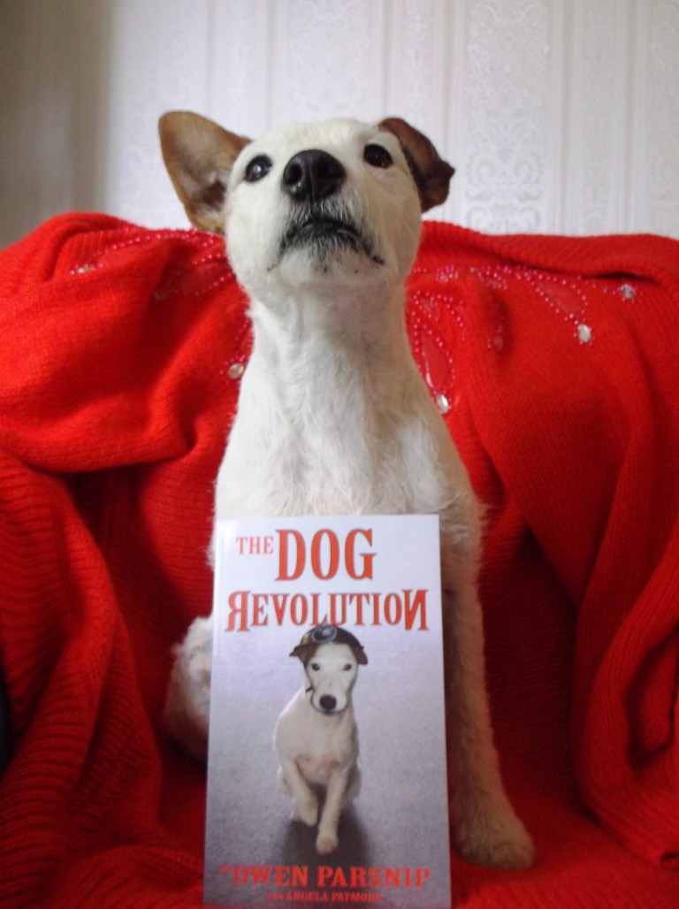 ANGELA PATMORE | APS BOOKS/APS PUBLICATIONS